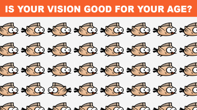 Tough Odd One Out For People With Eagle Eyes Only! – SELFIE QUIZ