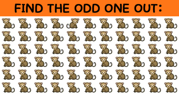 How Observant Are You? Find The Different Monkey In 3 Seconds. – SELFIE ...