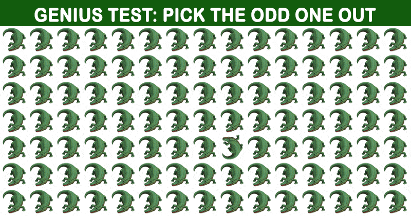 Only Clear-Sighted People Will Ace This Visual Eye Test. – SELFIE QUIZ