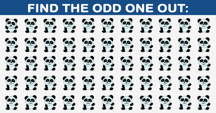 92% Of People Can’t Find The Odd Panda Out In 5 Seconds. – SELFIE QUIZ