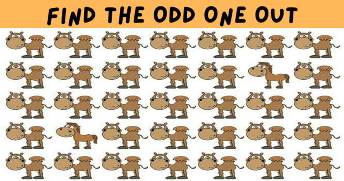 Find The Intruder If You Have Super-Sight Power. – SELFIE QUIZ