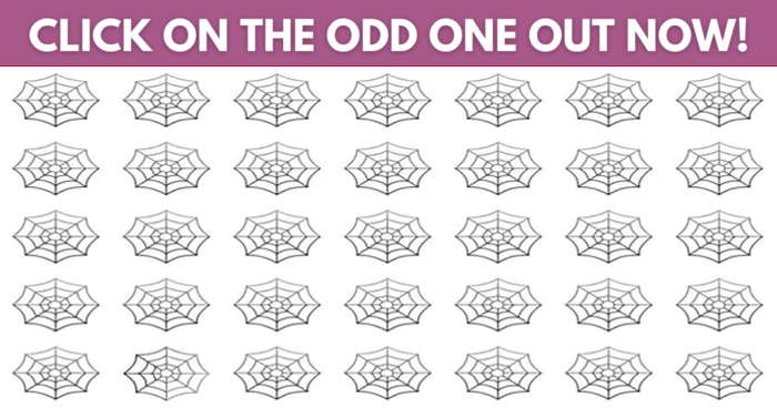 How Attentive Are You? Find The Different Spiderweb In Less Than 20 ...