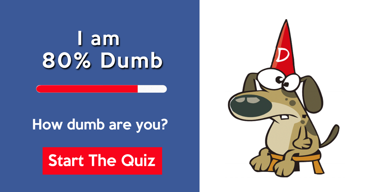 How Dumb Are You?
