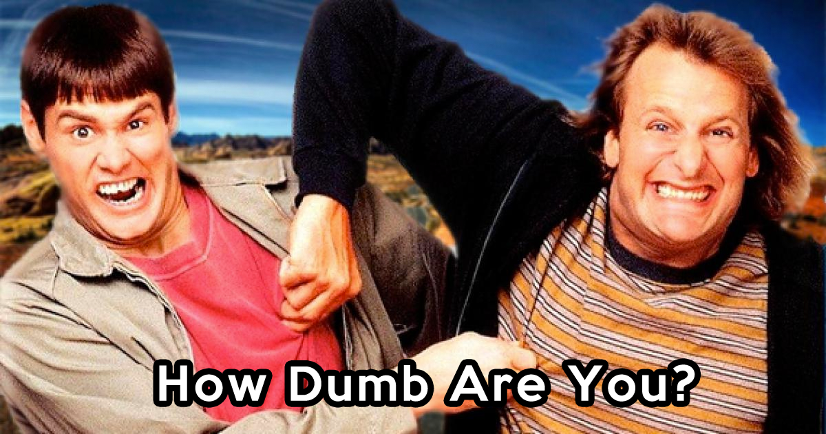 How Dumb Are You?
