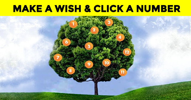 Make a wish, choose a number and see what it reveals