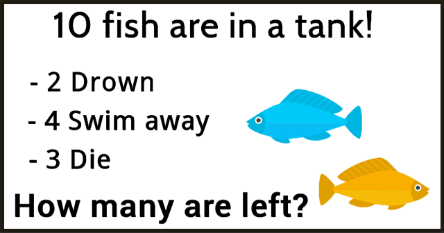 Can You Solve This Fish Math Riddle In Less Than 60 Seconds?
