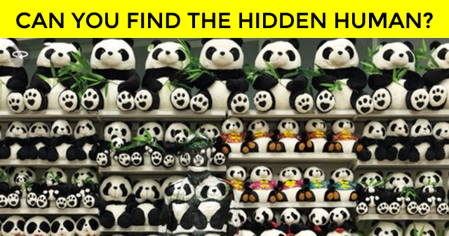 Only 5% Of Adults Can Spot This Hidden Human! IF You Find in 5 Seconds ...